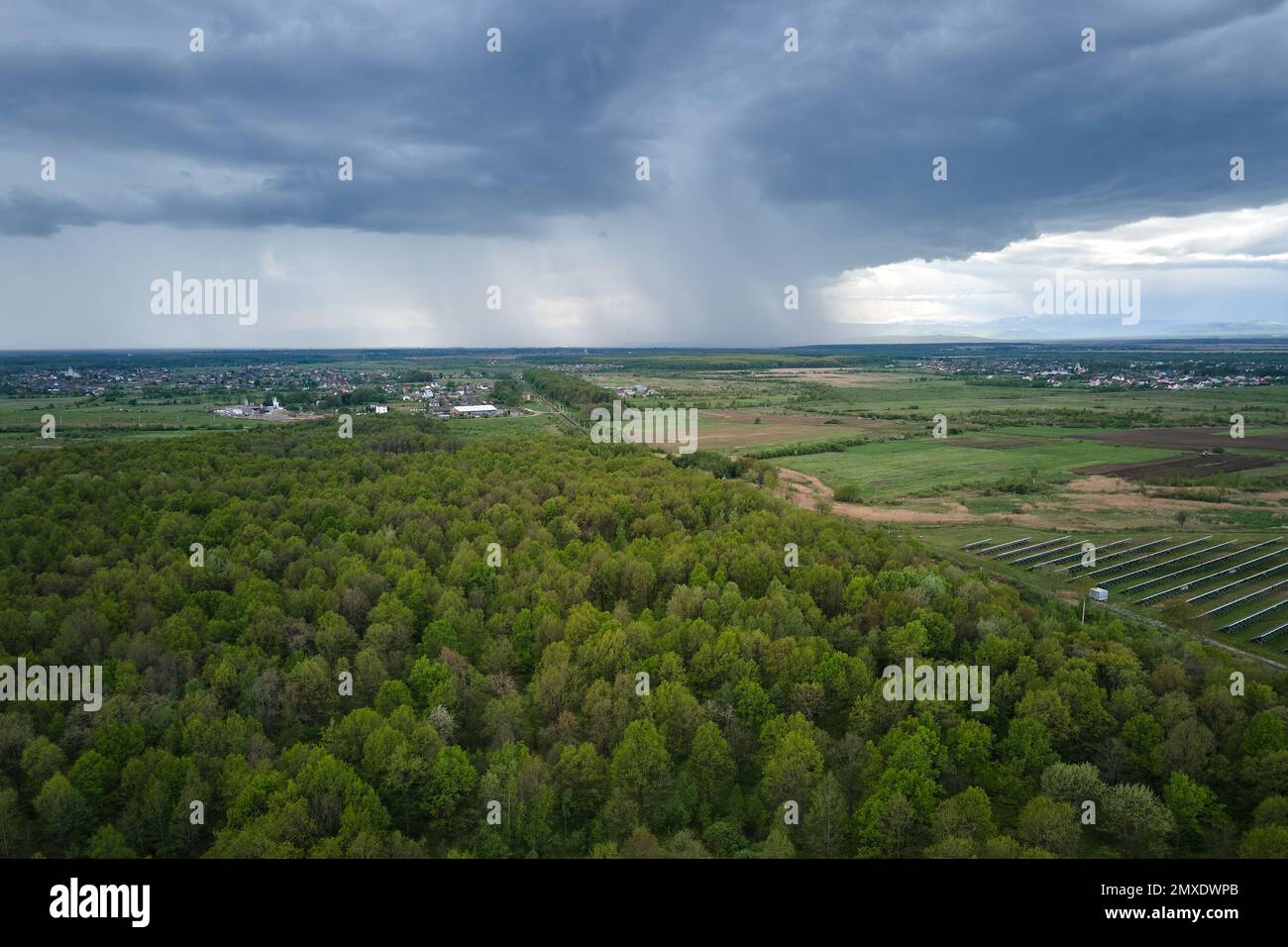 Aerial view of dark green lush forest with dense trees canopies in ...