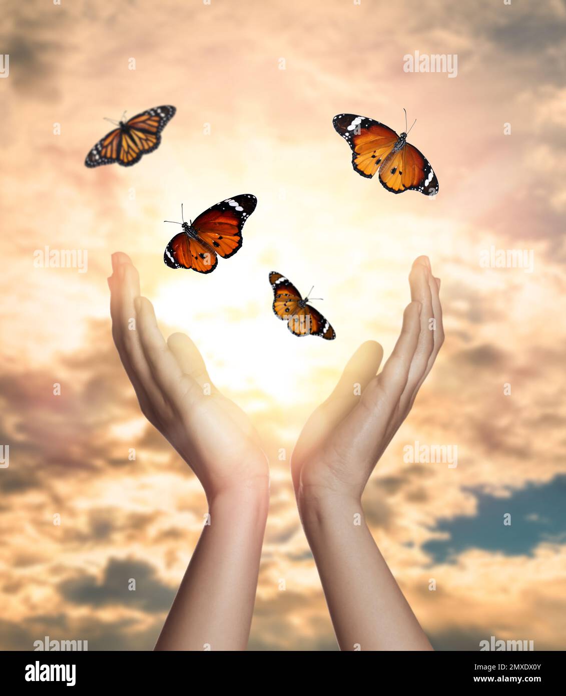 Woman releasing butterflies against beautiful sky outdoors, closeup ...
