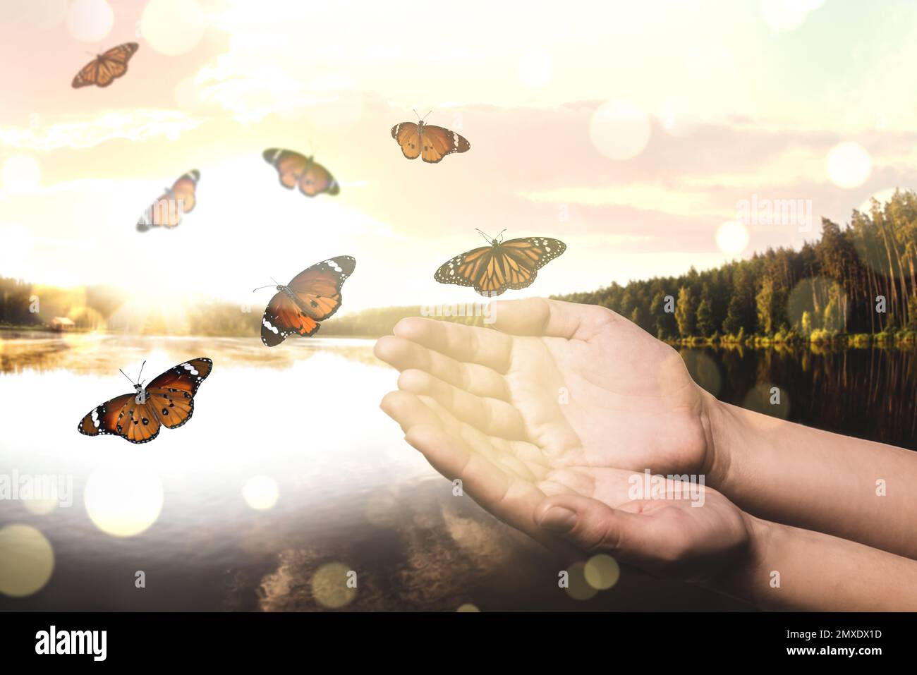Hands releasing butterflies hi-res stock photography and images - Alamy