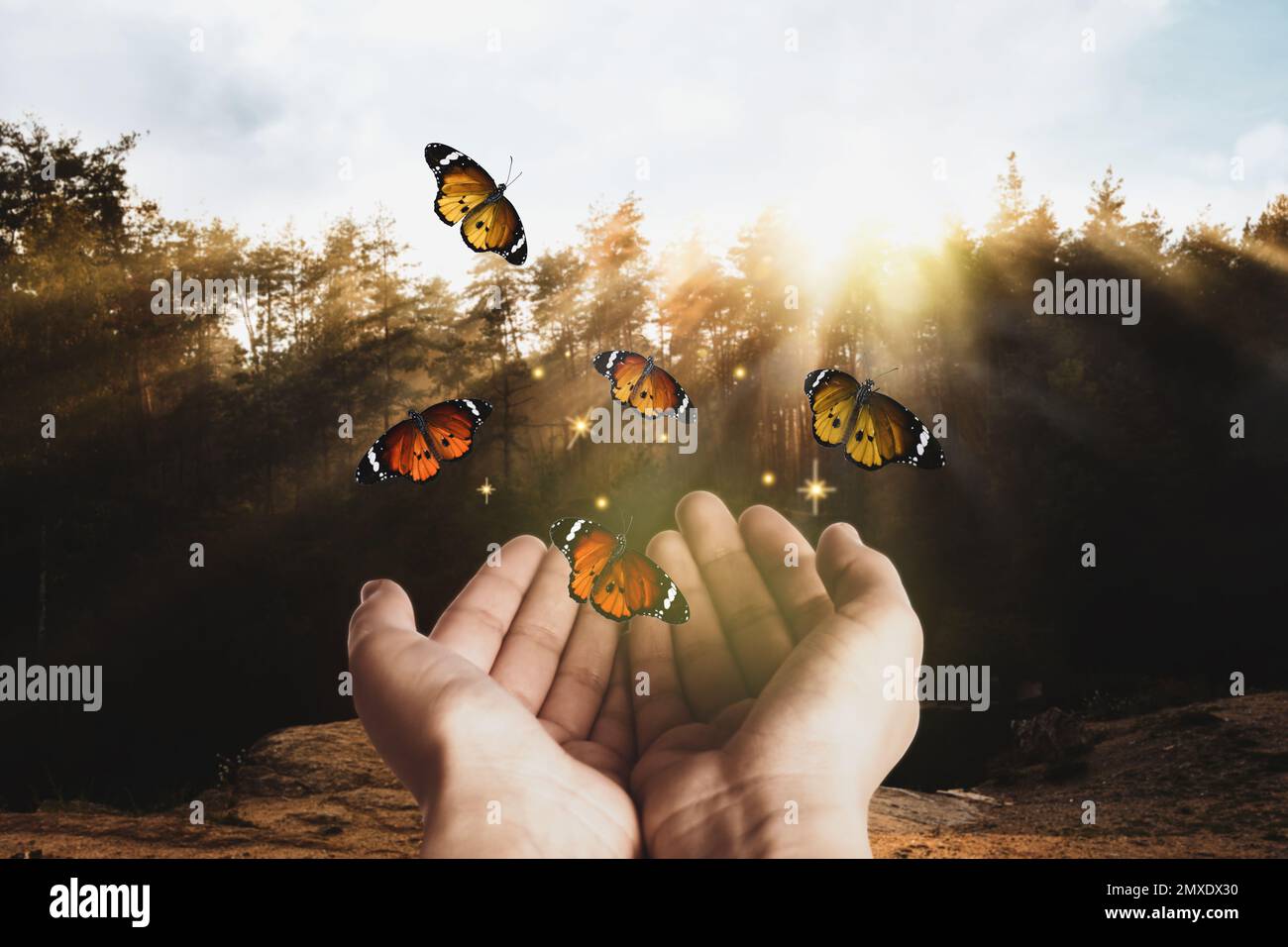 Hands releasing butterflies hi-res stock photography and images - Alamy