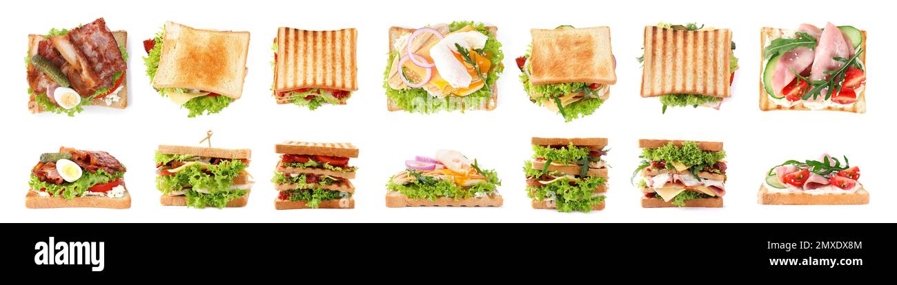 Set of toasted bread with different toppings on white background ...