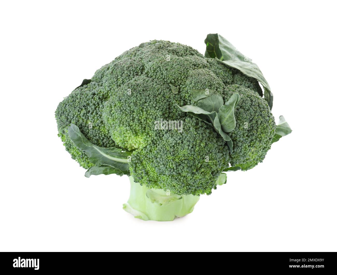 Fresh green broccoli isolated on white. Organic food Stock Photo - Alamy