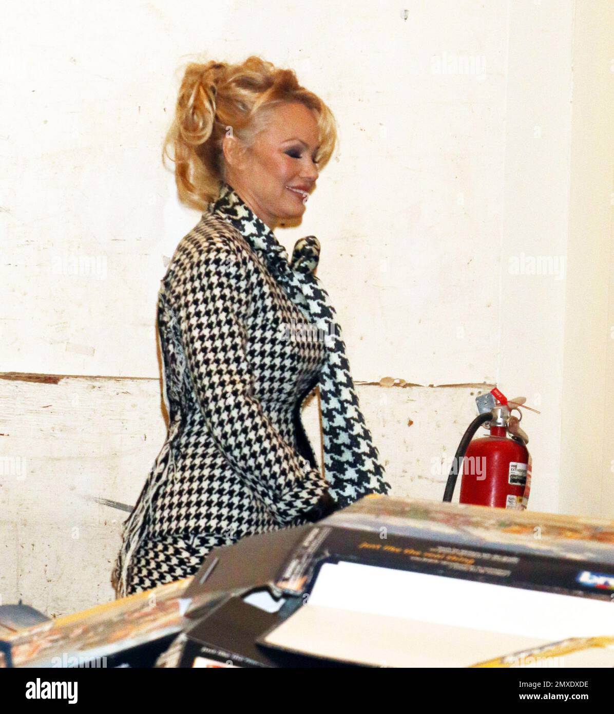 New York, NY, USA. 2nd Feb, 2023. Pamela Anderson seen after her book ...