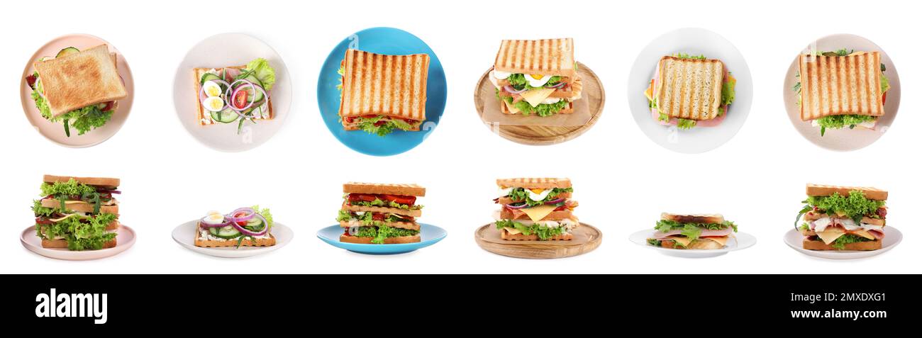 Set of toasted bread with different toppings on white background ...