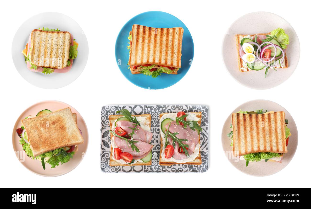 Set of toasted bread with different toppings on white background, top ...