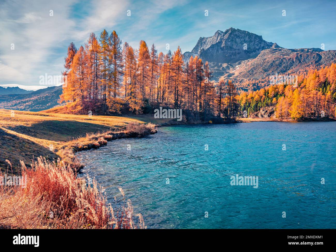 Swiss scenery hi-res stock photography and images - Alamy