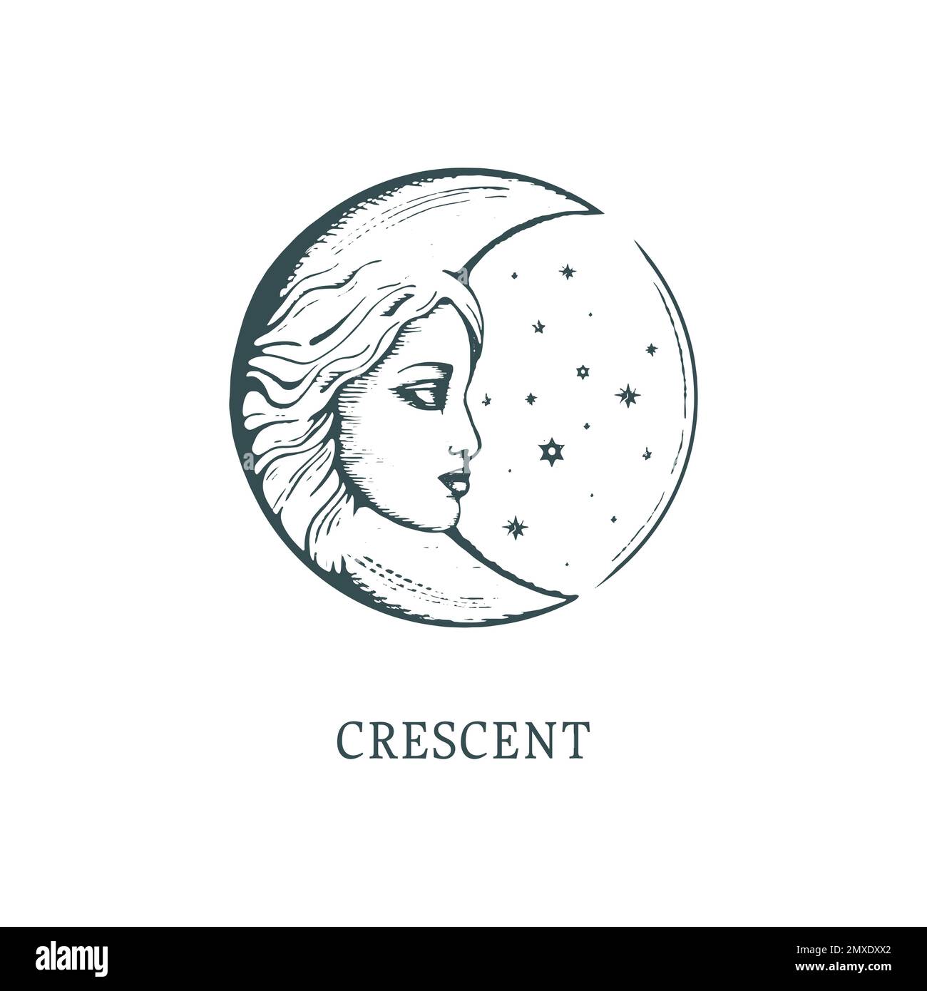 Crescent moon hand drawn in engraving style Stock Vector Image & Art ...