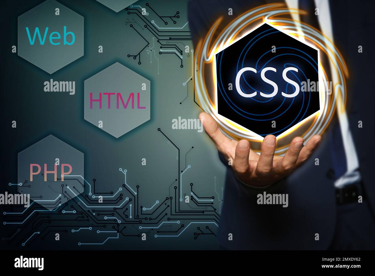 Web development. Man using button CSS on virtual screen, closeup Stock Photo - Alamy