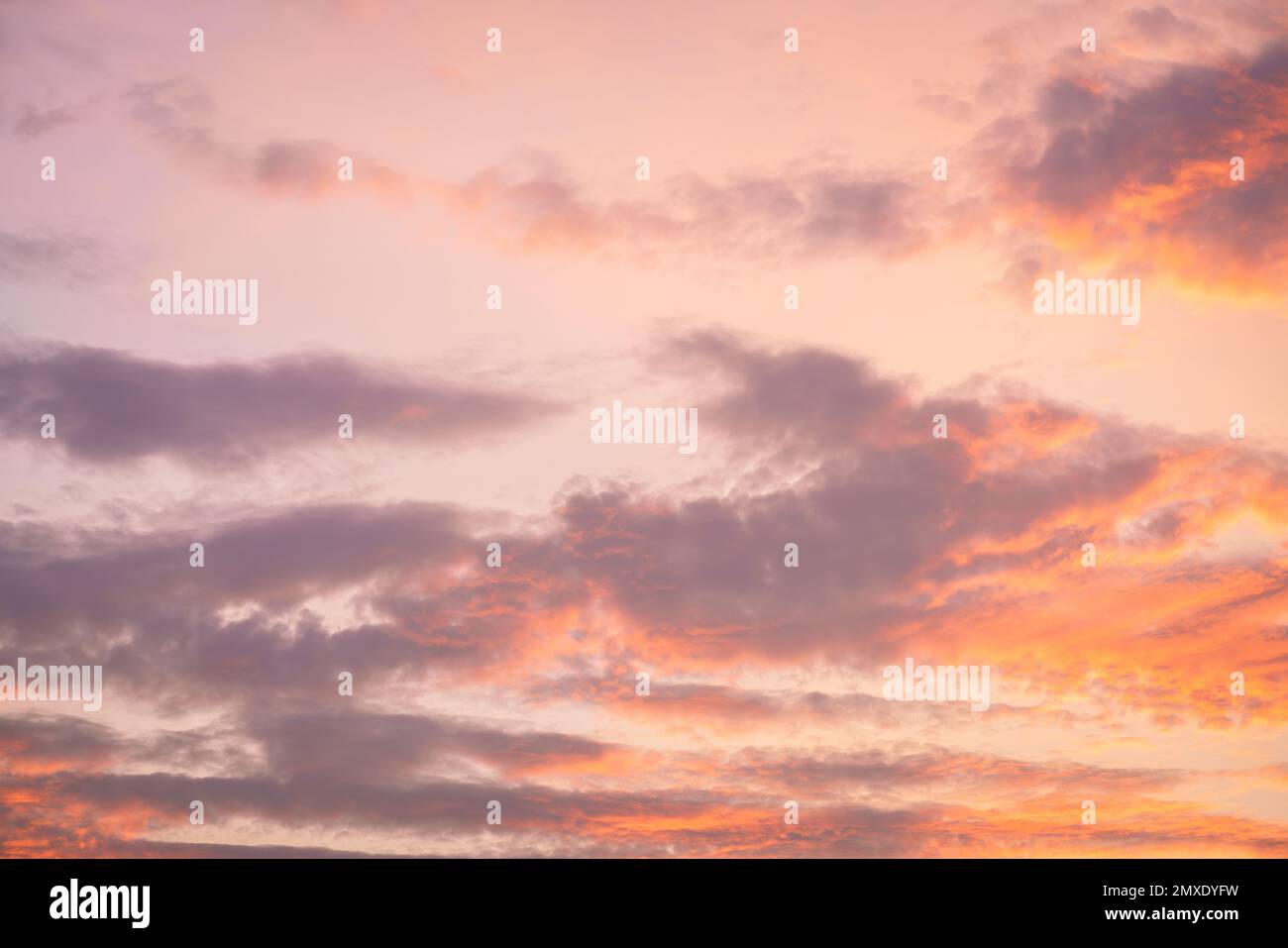 beautiful twilight sky golden hour sunset and cloud with purple violet ...