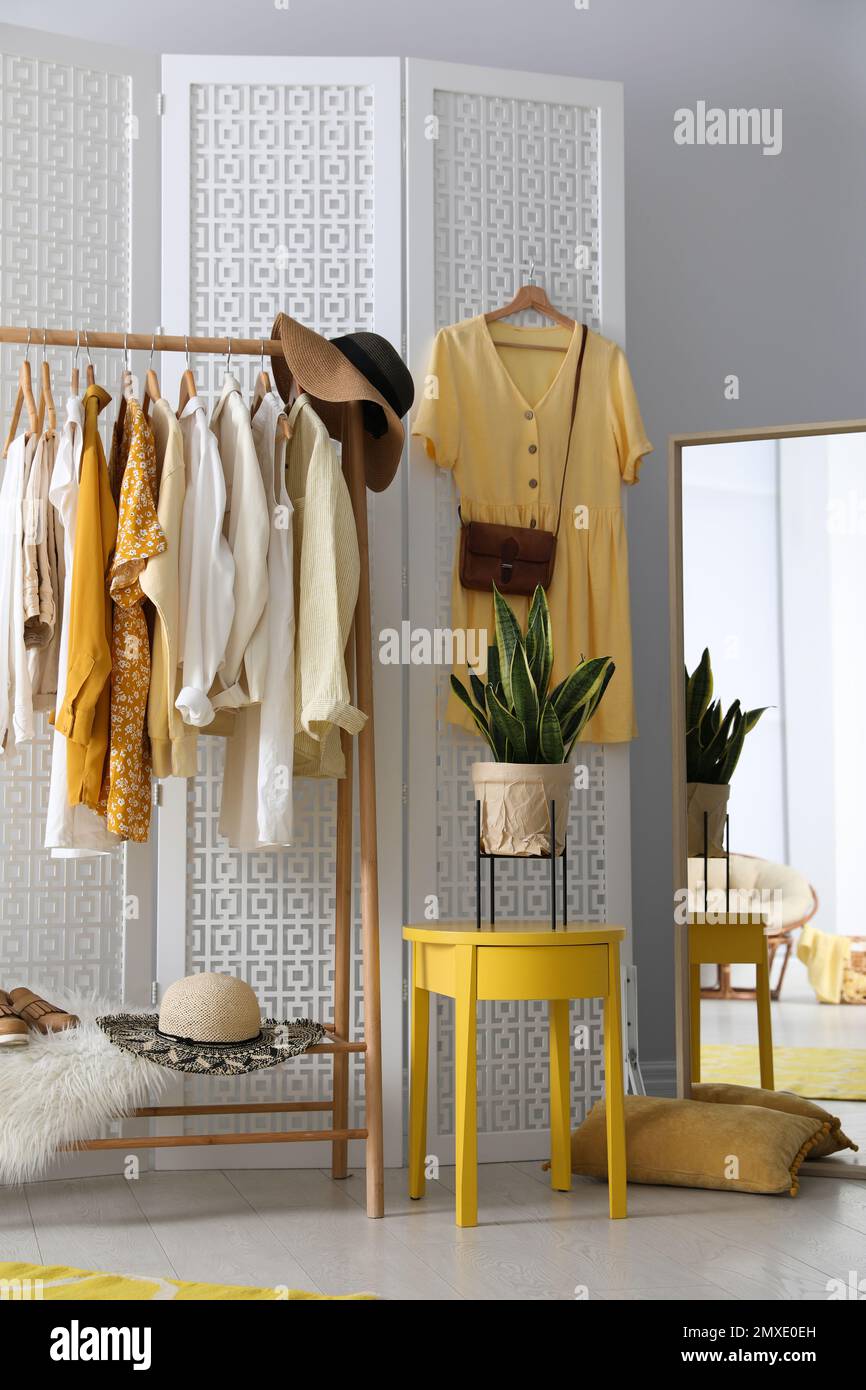 Rack with stylish women's clothes and mirror indoors. Interior design ...