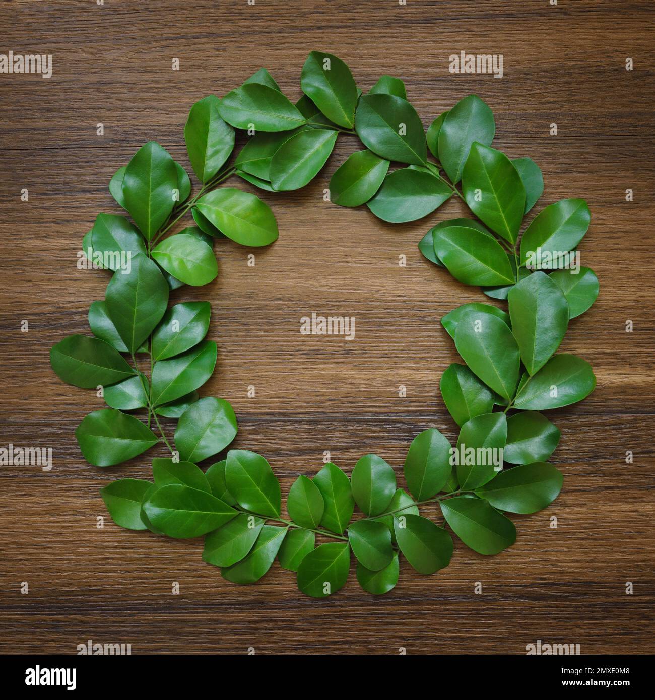 Tropical circle hi-res stock photography and images - Alamy