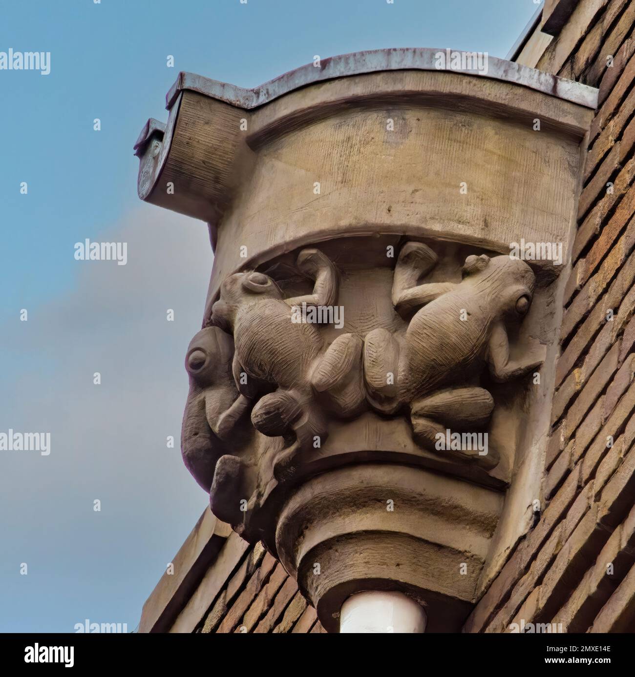 The sculpture of climbing frogs on a facade of an old building Stock ...