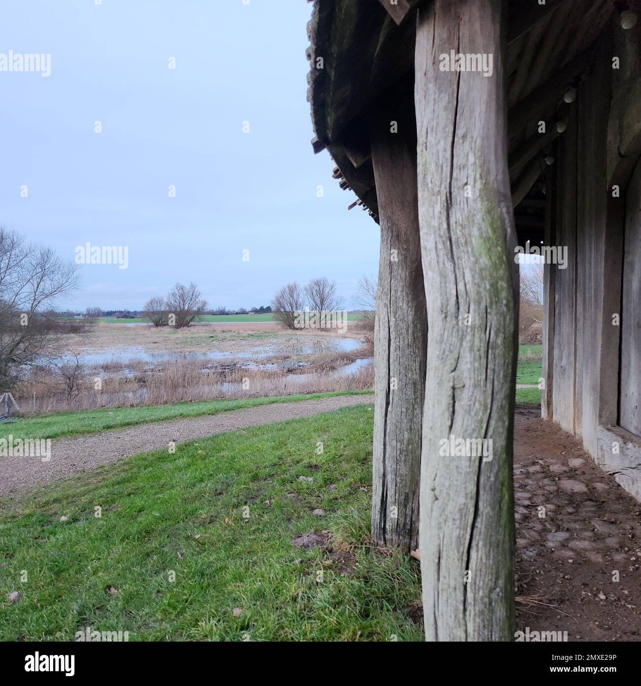The wooden pillars that supports the reconstructed viking long house ...