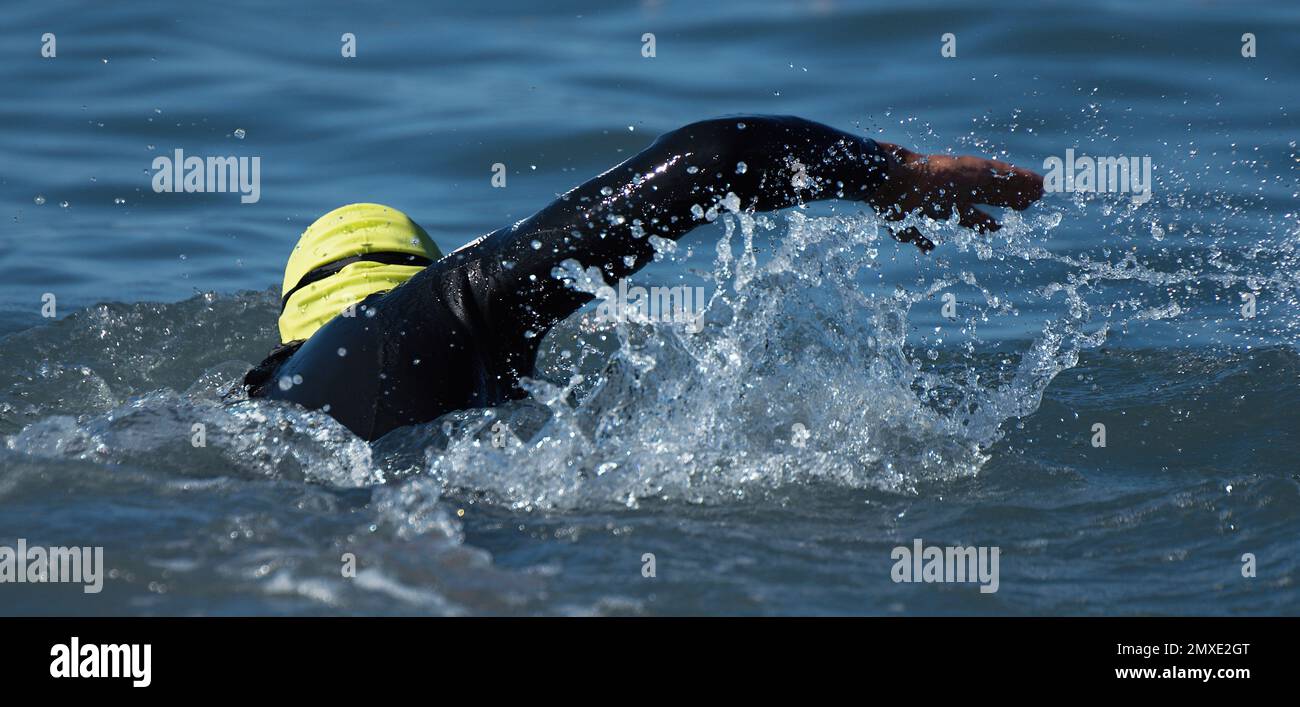 Sea game swimmer hi-res stock photography and images - Alamy