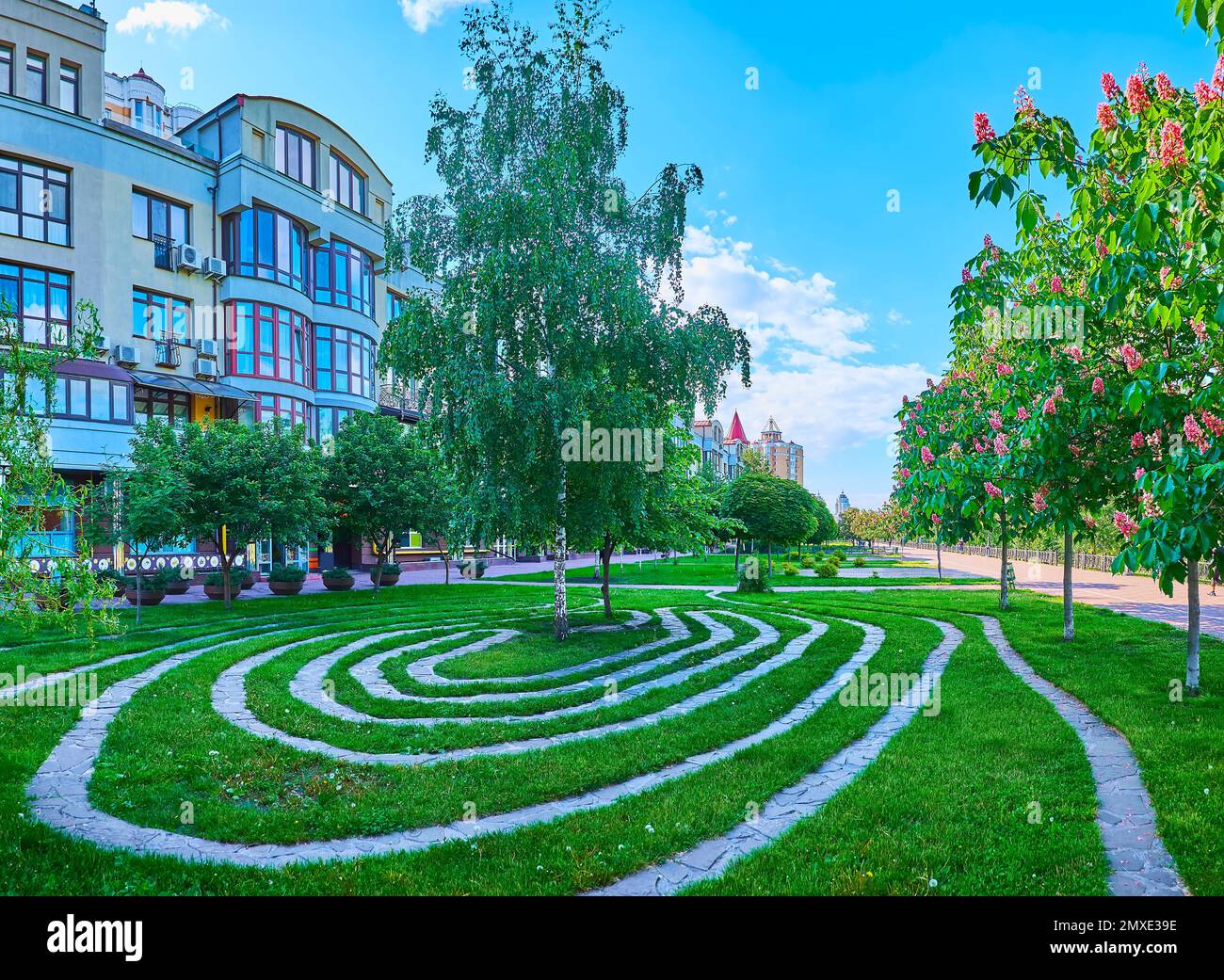 The park on Obolonska Embankment with birch trees, blooming red horse ...