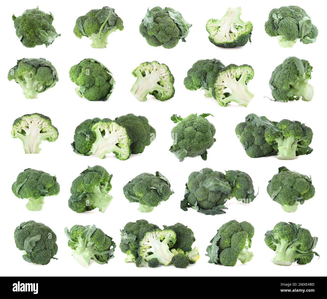 Set of fresh green broccoli on white background Stock Photo - Alamy