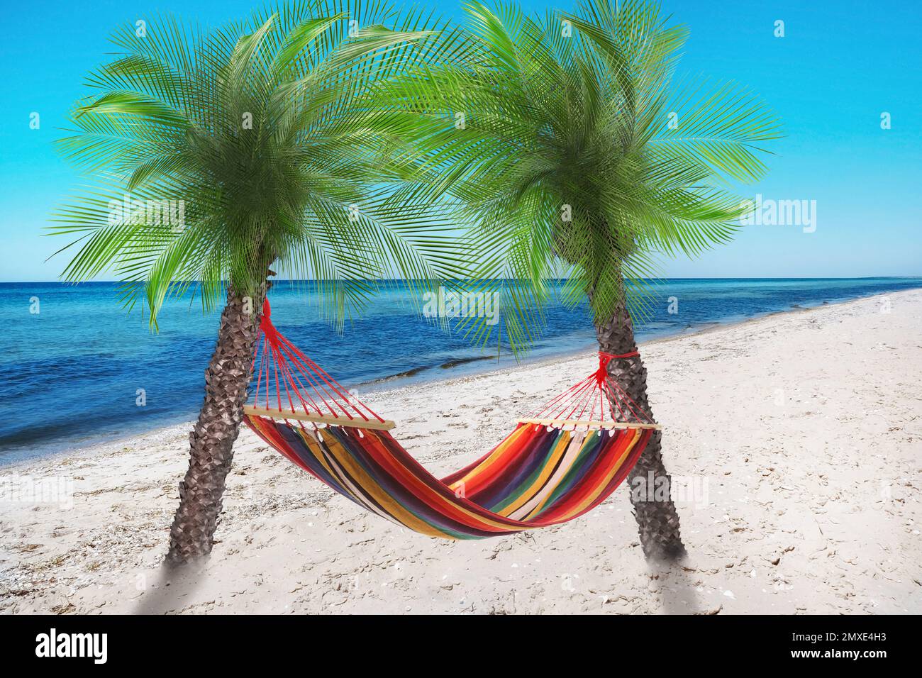 Hammock between palms at sandy beach near sea on sunny day Stock Photo ...