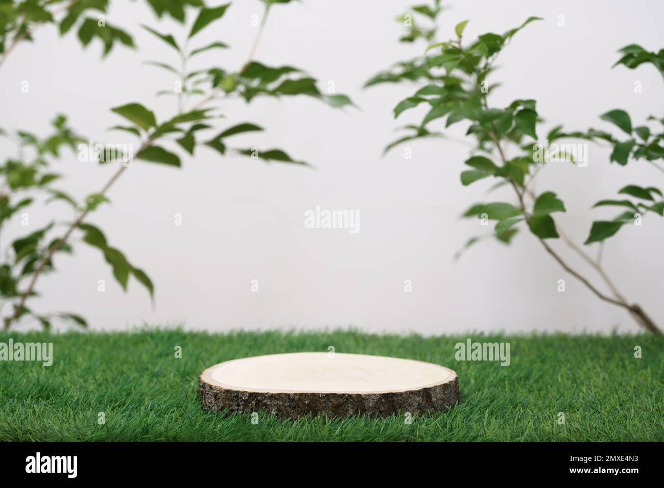 empty wooden podium texture on grass with tree branch fresh green leaf ...