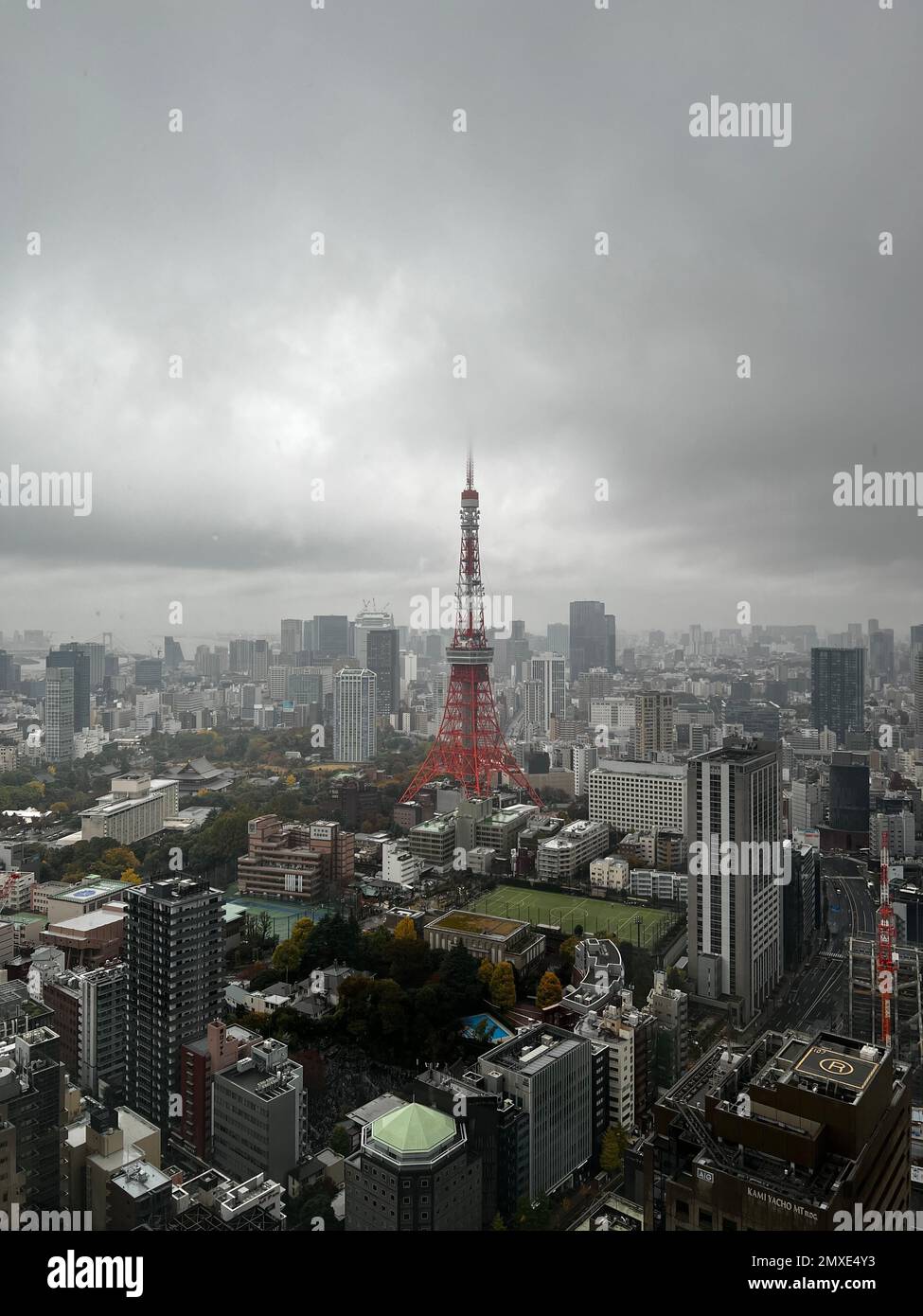 An aerial view of the Tokyo Tower and cityscape Stock Photo - Alamy