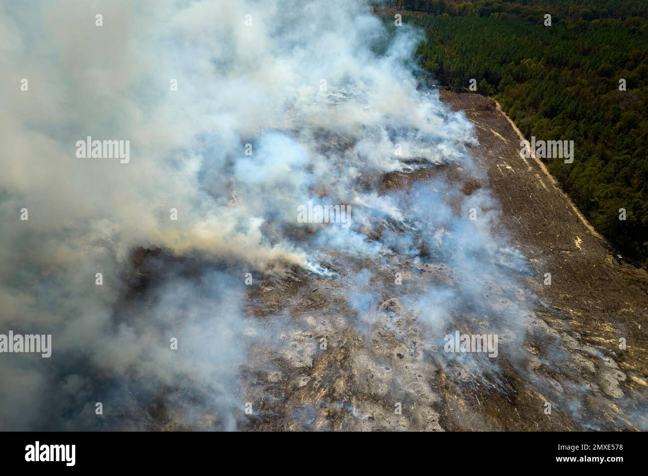 Aerial view of white smoke from forest fire rising up polluting ...