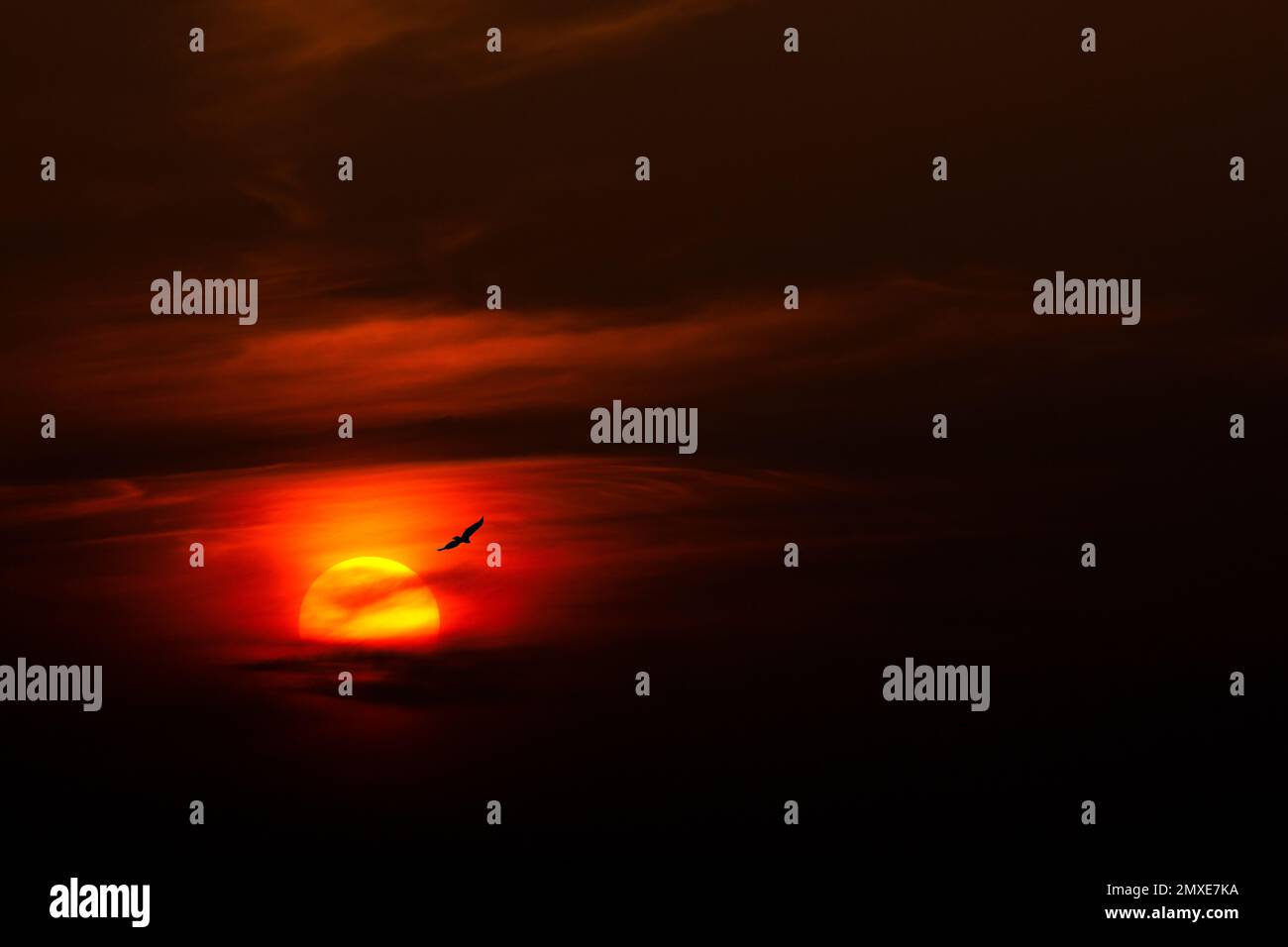 NIGHTFLIGHT INTO SUNSET Stock Photo - Alamy