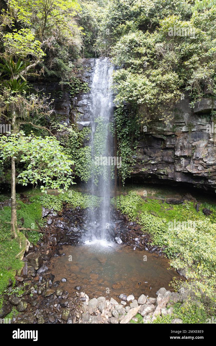 A vertical shot of a waterfall over a giant cliff with trees Stock ...