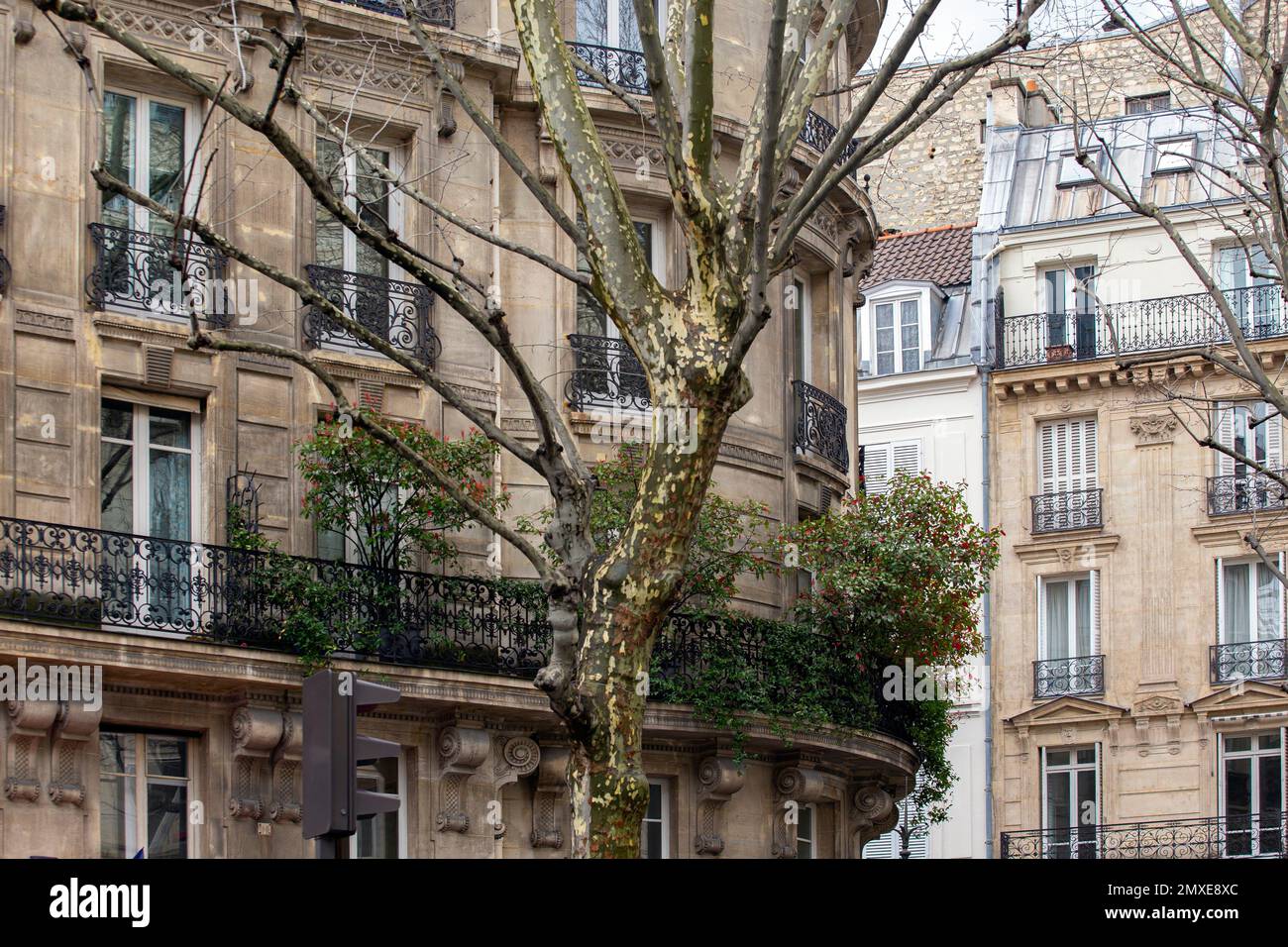 beautiful background from the facades of Parisian buildings Stock Photo ...