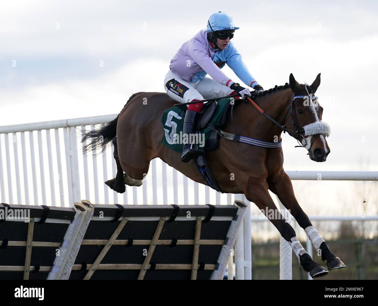 Hapy La Vie ridden by Edward Austin in the Racing TV Profits Returned ...