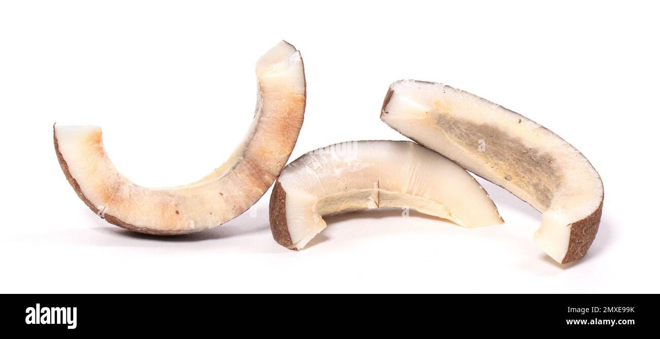 Rotten pieces of coconut - Wasted mouldy tropical food with fungus ...