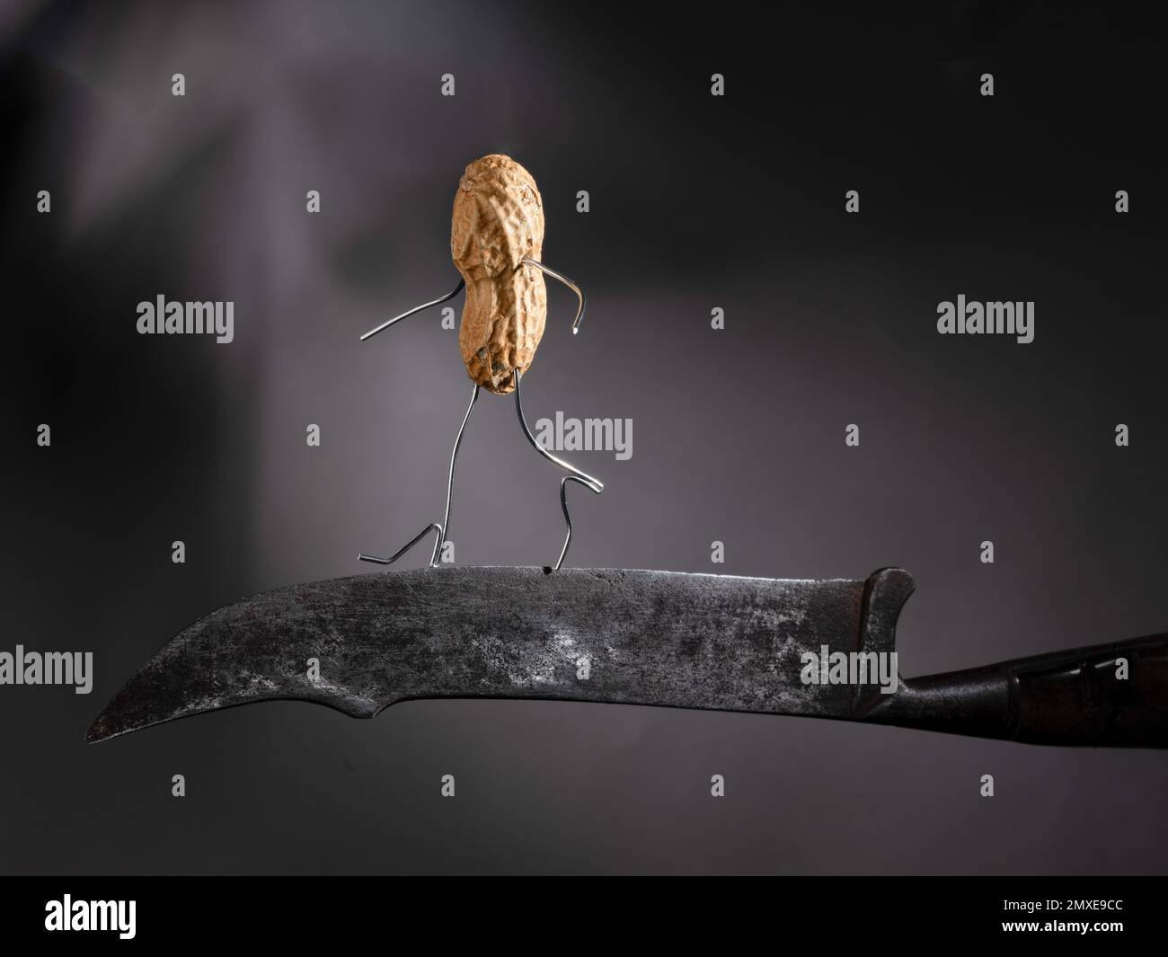 A whimsical image from the "Simple Thing" series, depicting a peanut ...