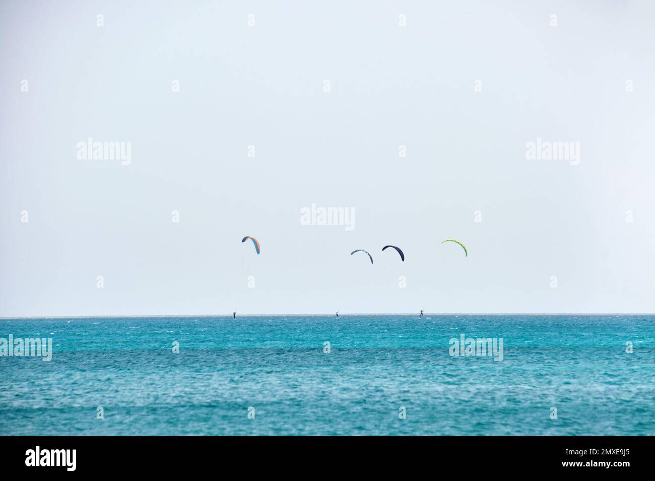 People sportsmen windsurfing and kite surfing in blue ocean water ...