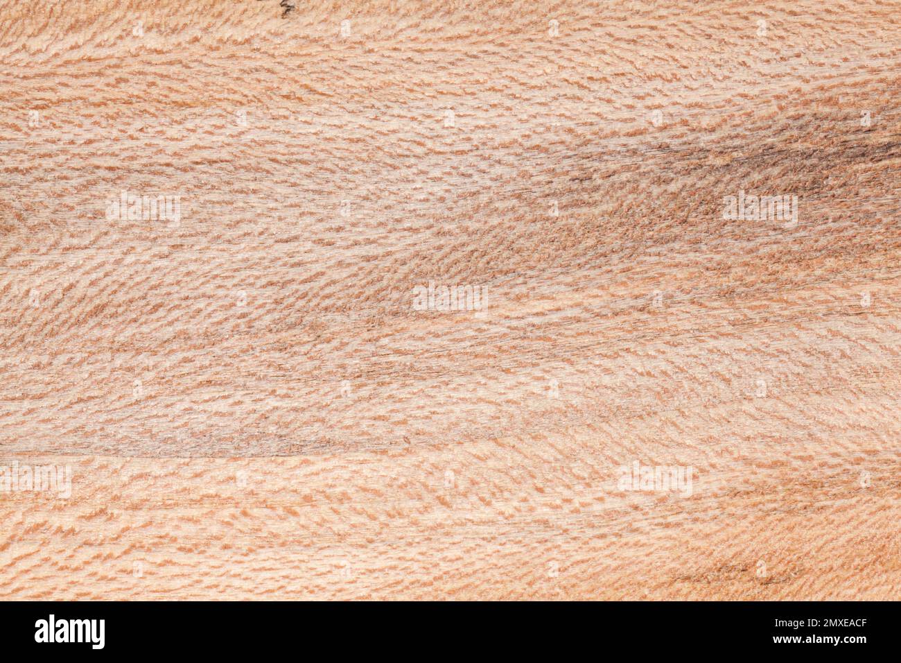 Beautiful quartersawn wood hi-res stock photography and images - Alamy