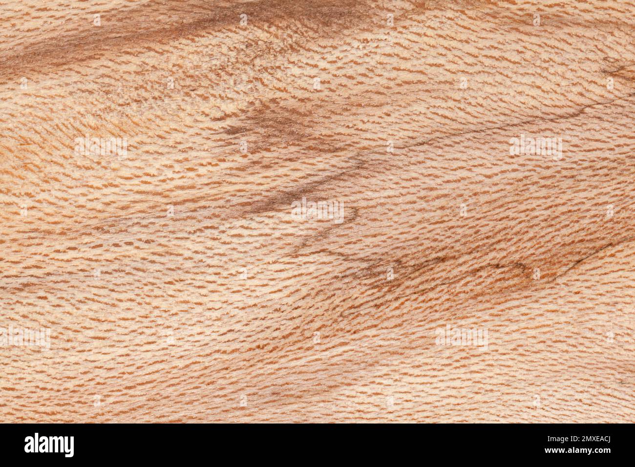 Spalted sycamore hi-res stock photography and images - Alamy