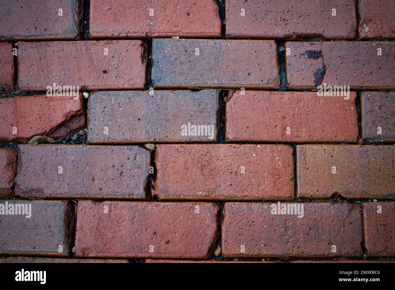 Red brick pavement background hi-res stock photography and images - Alamy