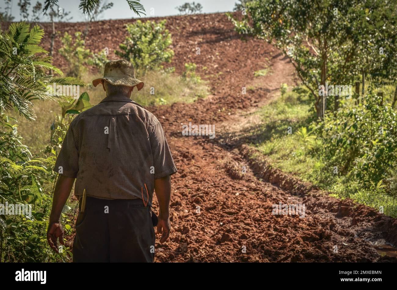 A back view of a farmer in Costa Rica Stock Photo - Alamy