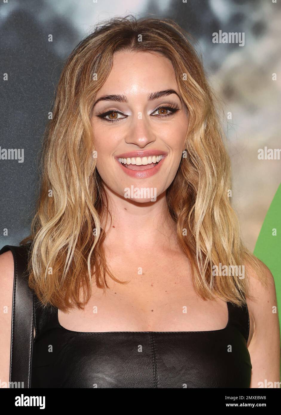Los Angeles, California, USA. 2nd Feb, 2023. Brianne Howey. Stella ...
