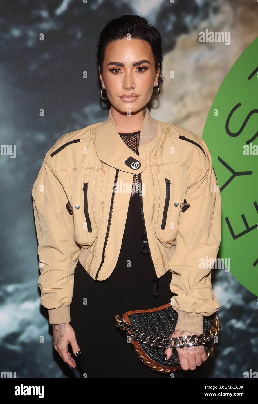 2 February 2023 -Los Angeles, California - Demi Lovato, Stella ...