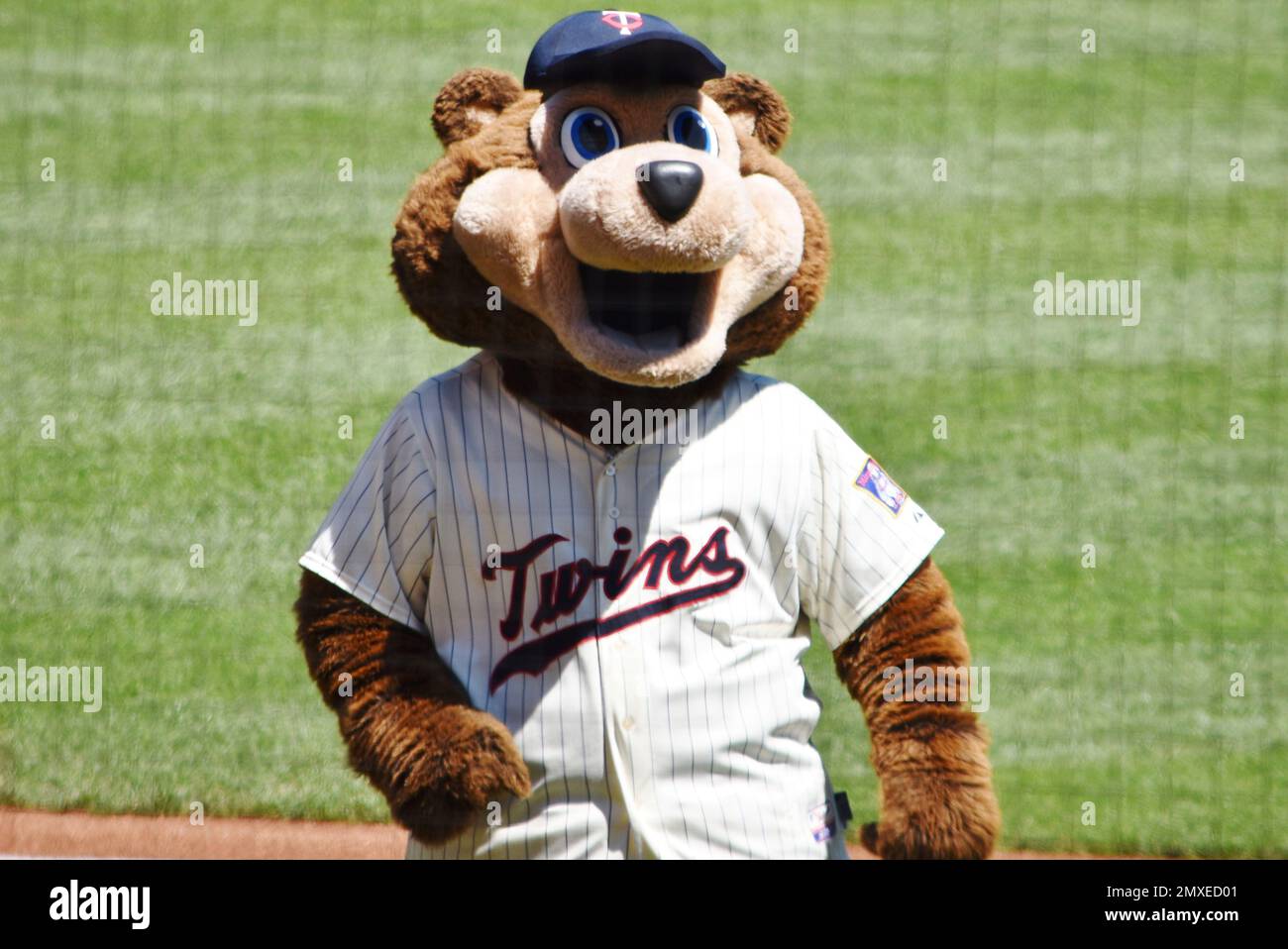 Tc bear hi-res stock photography and images - Alamy