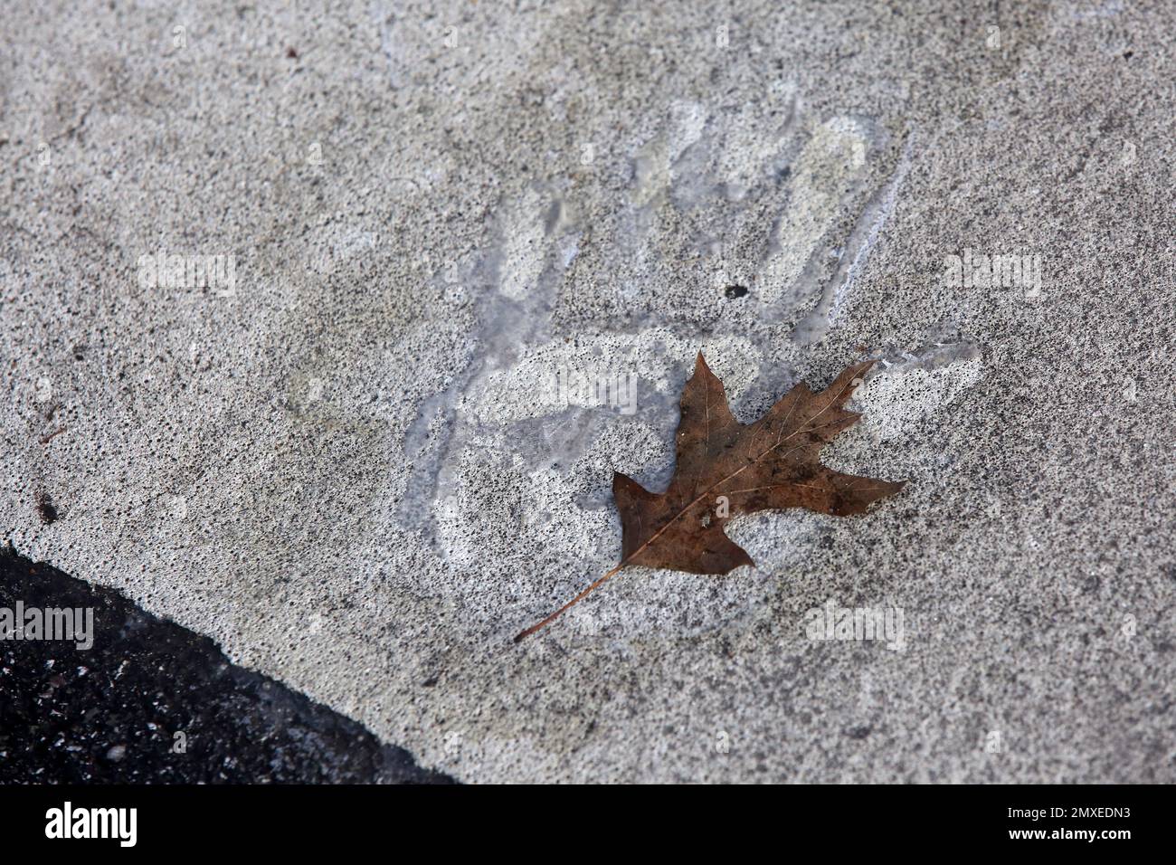 Handprint marks hi-res stock photography and images - Alamy