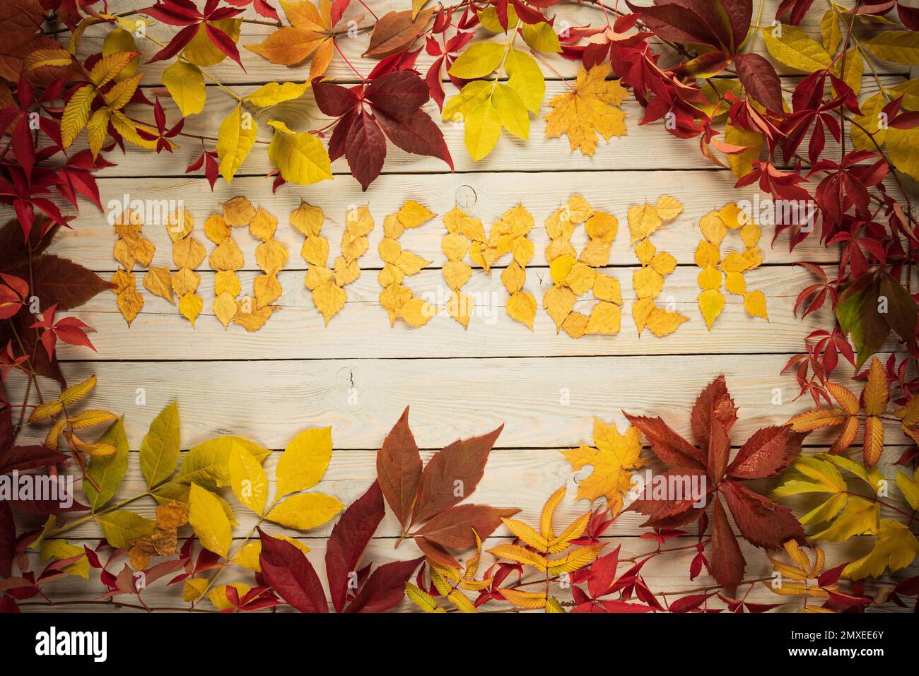 november month name made from yellow leaves on wooden background with ...