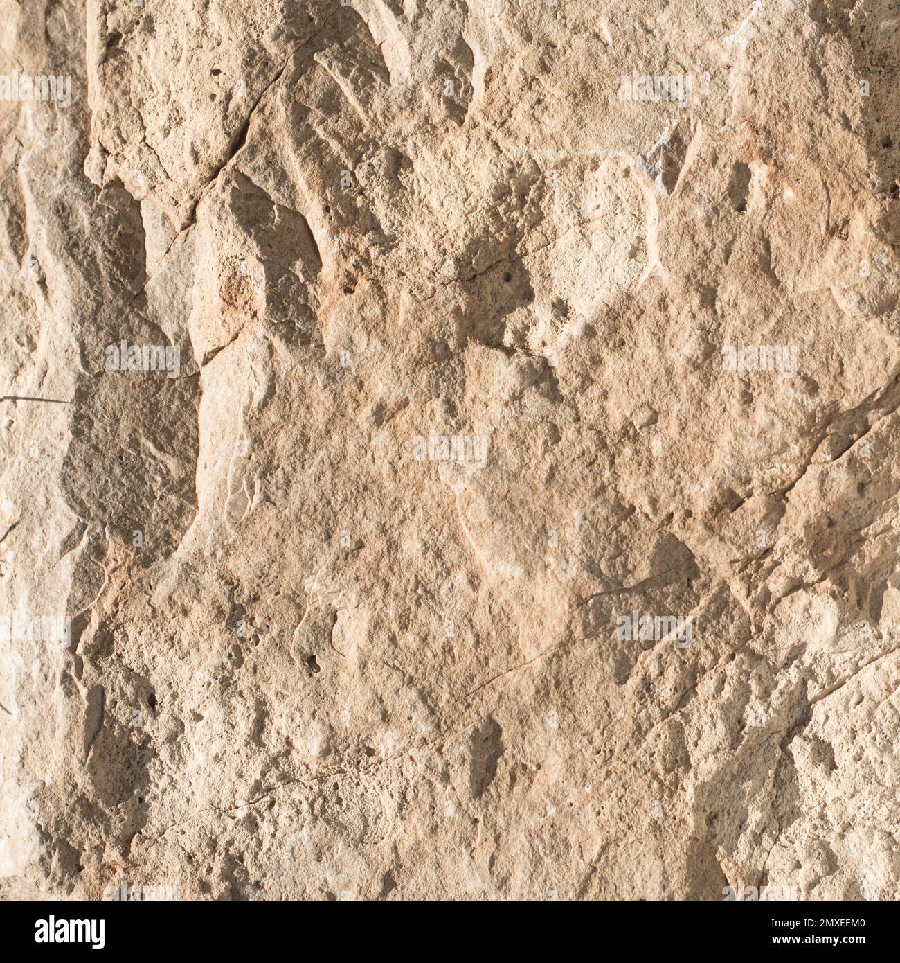 rough texture of dolomite rock lit from the side by the sun Stock Photo ...