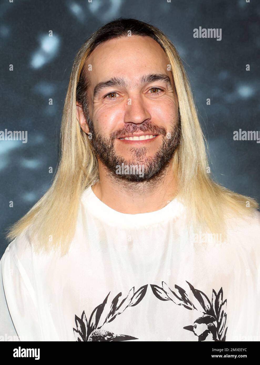 Los Angeles, Ca. 2nd Feb, 2023. Pete Wentz at Stella McCartney x Adidas at Henson Recording ...