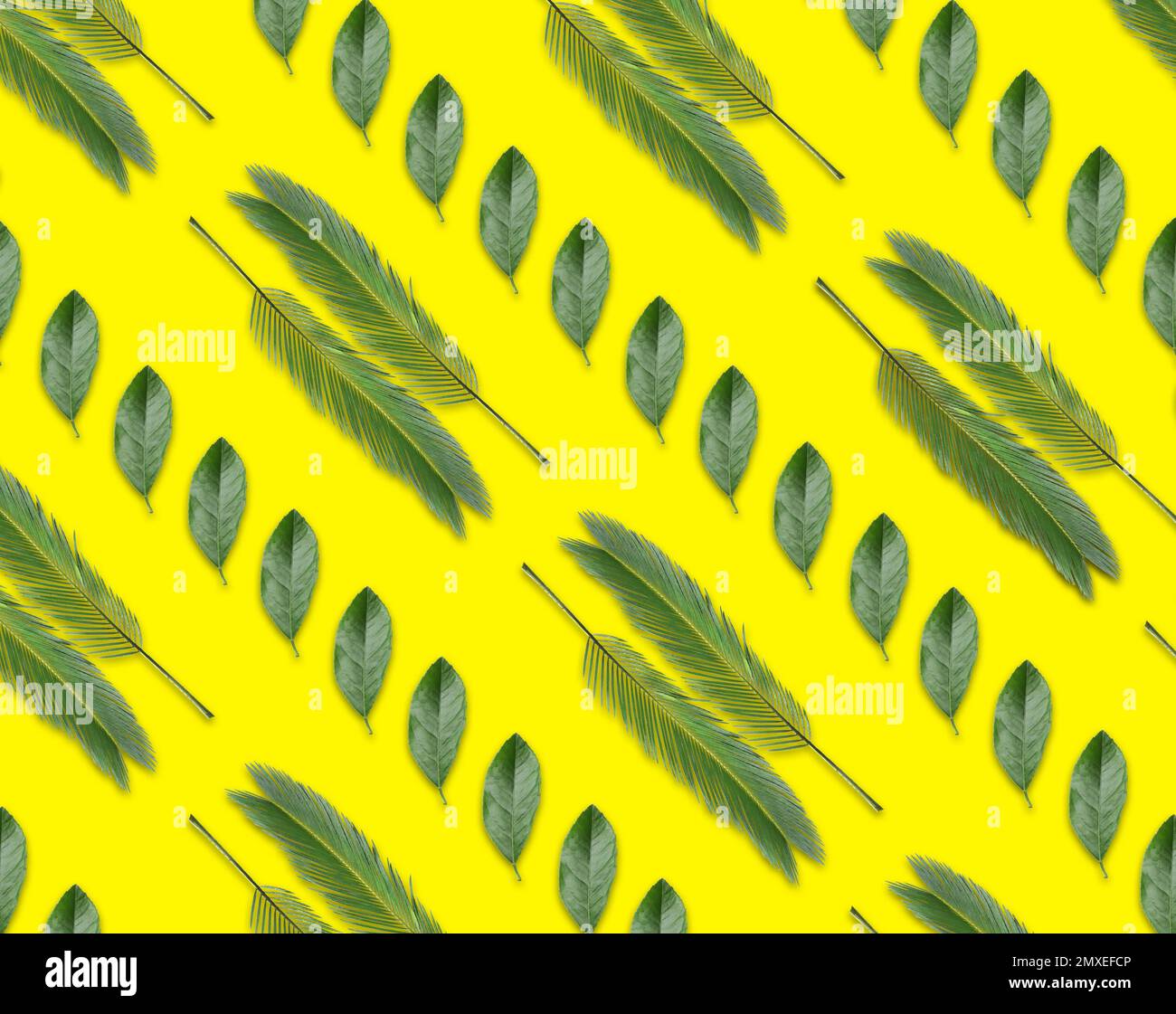 Pattern of palm and citrus leaves on yellow background Stock Photo - Alamy