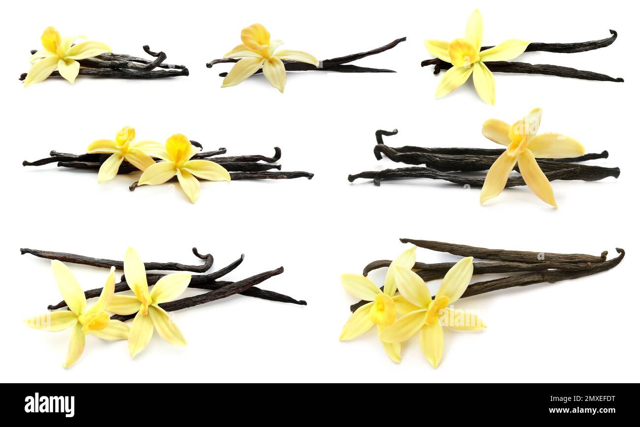 Set with aromatic vanilla pods and flowers on white background Stock ...