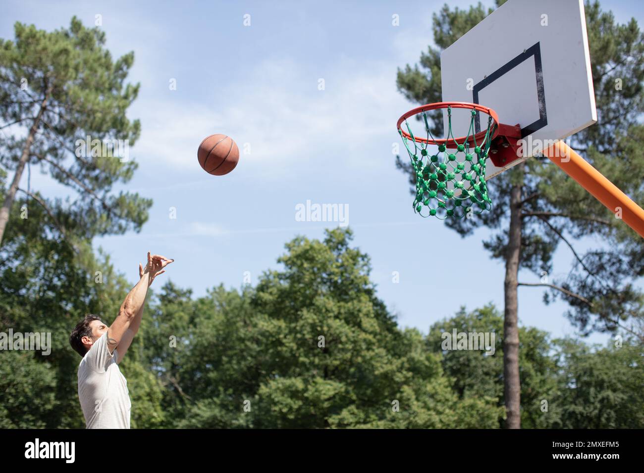 Dunk tree hi-res stock photography and images - Alamy