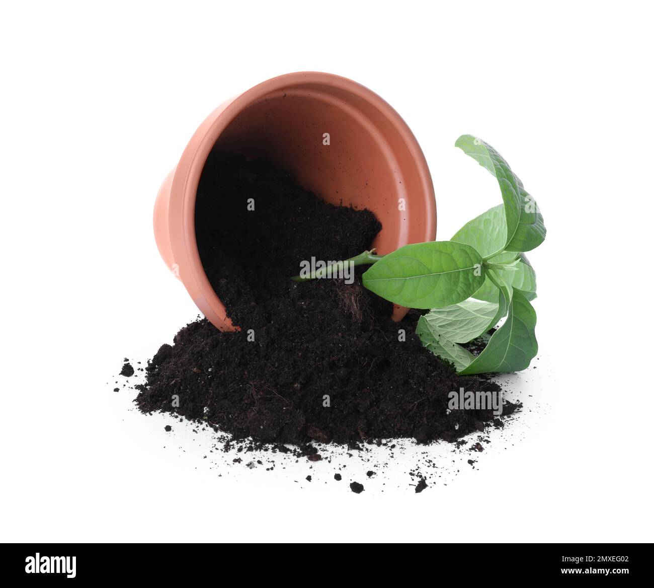 Overturned plant pot hi-res stock photography and images - Alamy