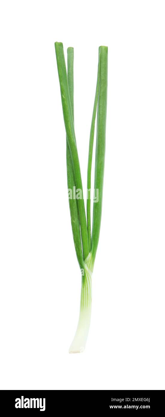 Green spring onion isolated Cut Out Stock Images & Pictures - Alamy