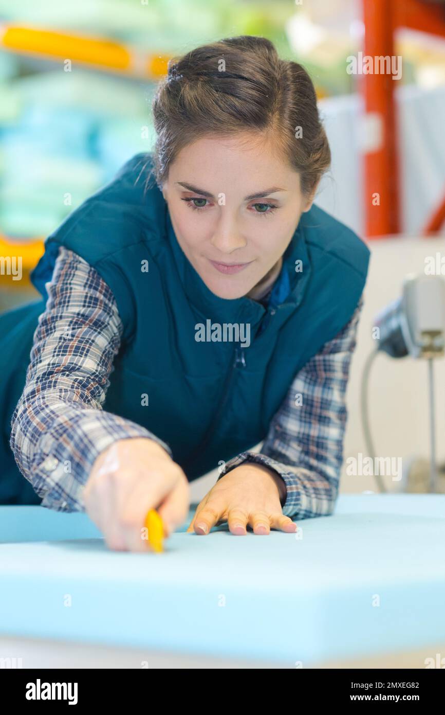 professional young female using a cutter in studio Stock Photo - Alamy