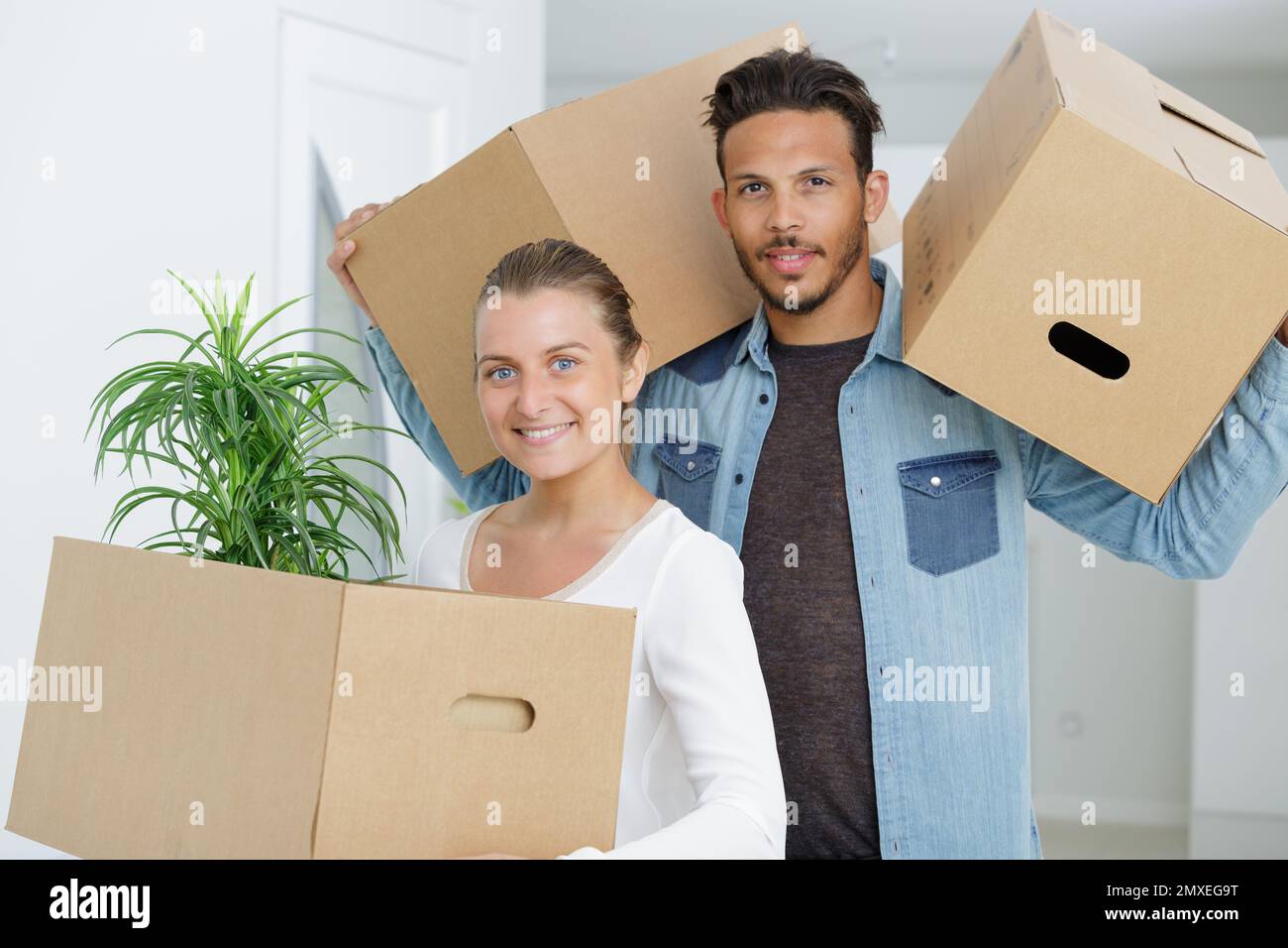 portrait of couple in apartment carrying cardboard boxes Stock Photo ...
