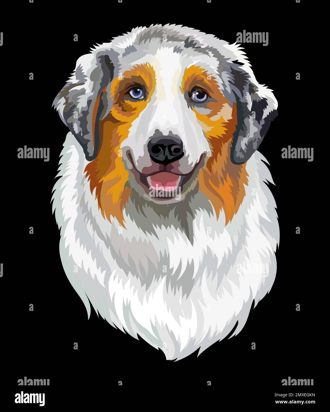 Australian shepherd close Stock Vector Images - Alamy